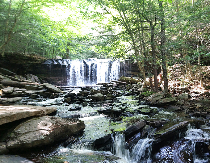 Nature's perfect symphony in motion – Ganoga Falls cascades 94 feet down ancient rock formations, creating a misty paradise that feels worlds away from everyday life.