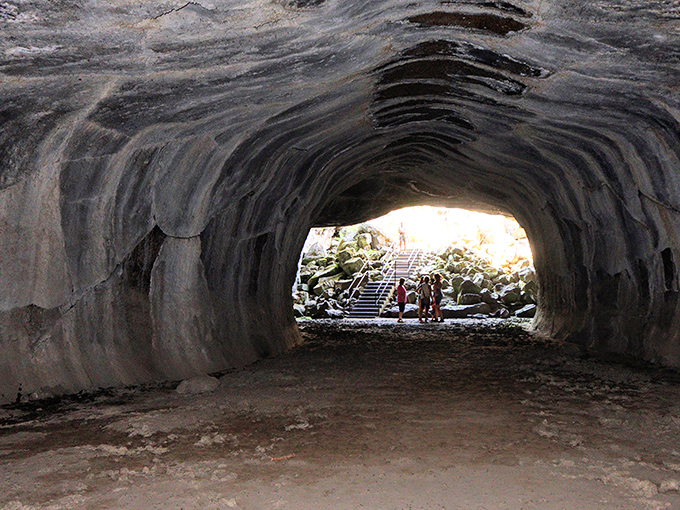 Nature's own chandelier display! These delicate stalactites hang like frozen waterfalls, creating a limestone forest that's been growing one drop at a time for millennia.