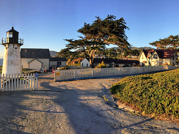 The California coast doesn't get more postcard-perfect than this. A lighthouse standing sentinel over crashing waves with a white picket fence that screams "Norman Rockwell meets maritime history."