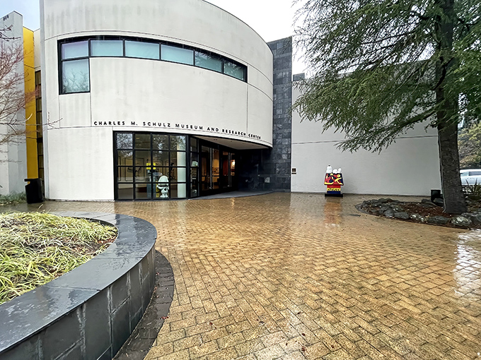 The sleek, modern curves of the Charles M. Schulz Museum stand in stark contrast to the simple line drawings housed within&mdash;architectural irony Schulz himself might have appreciated.