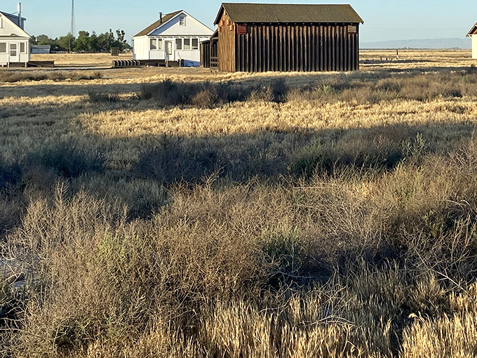 The golden California light bathes these historic structures, standing like sentinels of the past against the vast Central Valley horizon.