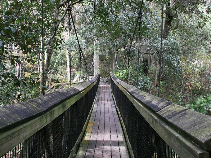 Suspension bridges aren't just for action movies&mdash;they're for everyday adventurers willing to leave the pavement behind at Ravine Gardens State Park.