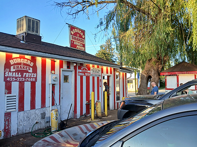 The candy-striped wonderland of Small Fryes stands like a beacon of comfort food in Fall City, promising delicious simplicity under those weeping willows.