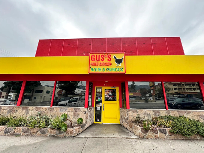 The coral-colored building with its bold yellow sign makes no apologies for its confidence. Like a Southern gentleman declaring his intentions, Gus's announces itself with charming audacity.