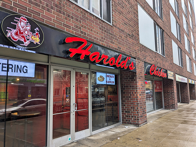 The iconic Harold's storefront with its unmistakable red lettering and chef-chasing-chicken logo promises fried poultry paradise within those brick walls.