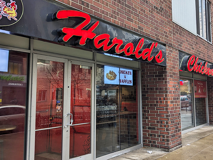 The iconic red signage of Harold's Chicken beckons like a lighthouse for the fried-food faithful. Even fancy cars stop for this South Side treasure.
