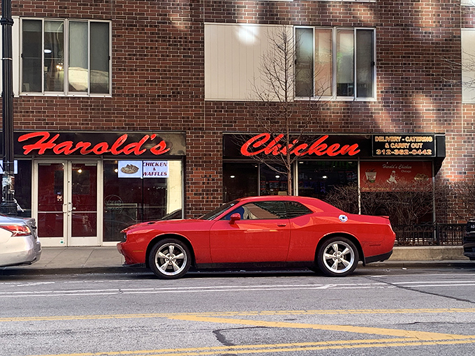 The iconic Harold's storefront with its unmistakable red lettering and chef-chasing-chicken logo promises fried poultry paradise within those brick walls.