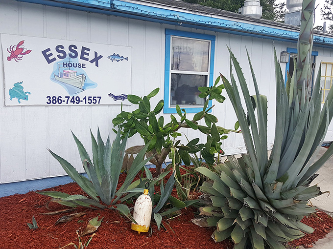 The blue-roofed beacon of seafood salvation sits unassumingly in Pierson, promising "Famous Fried Clams" that have seafood pilgrims filling the parking lot daily.