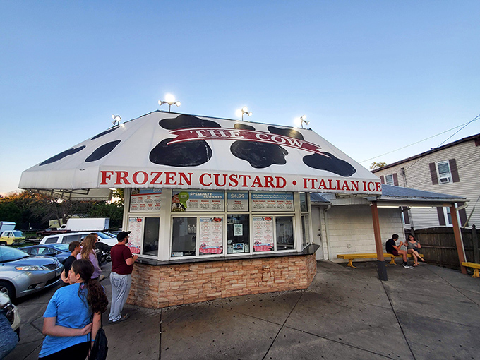 The bovine mothership has landed! This spotted-roof wonder in Reisterstown promises frozen nirvana with a side of nostalgic charm.
