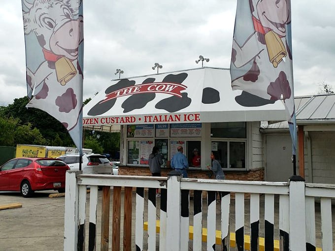 The bovine mothership has landed! This spotted-roof wonder in Reisterstown promises frozen nirvana with a side of nostalgic charm.