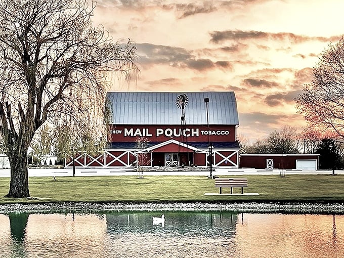 The iconic Mail Pouch Tobacco barn houses culinary treasures instead of tobacco these days, with a serene pond reflecting both sky and appetite-inducing possibilities.