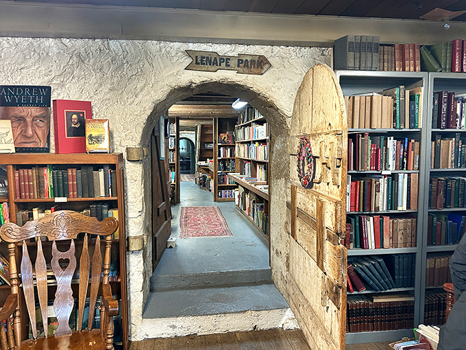 An open atlas beckons explorers while shelves stretch to infinity. At Baldwin's, every book is a doorway to another world.