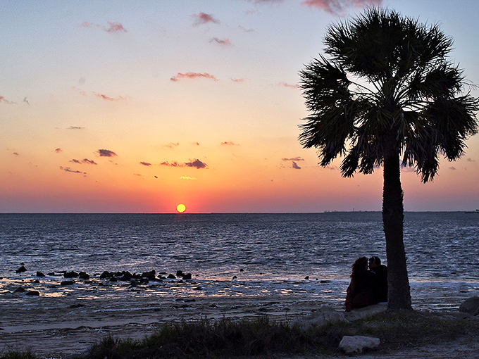 Palm sentinels stand guard over powdery white sand, while the Gulf of Mexico stretches endlessly into a sky that Florida somehow makes bluer than anywhere else.