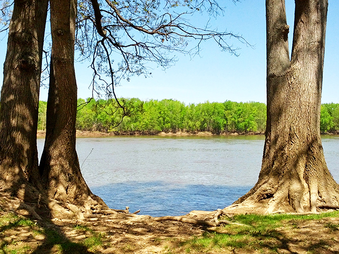 Nature's cathedral awaits at Harmonie State Park, where sunlight filters through ancient trees creating a stained-glass effect that no church architect could rival.