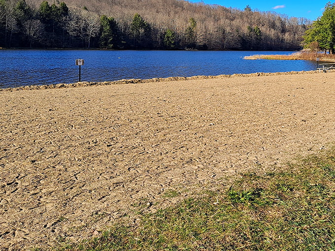 Fall's fashion show in full swing at Chapman State Park, where Mother Nature clearly didn't get the memo about subtle color coordination.