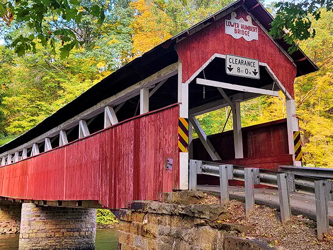 The Lower Humbert Bridge stands like a crimson sentinel against autumn's golden backdrop, a perfect postcard from Pennsylvania's storied past.