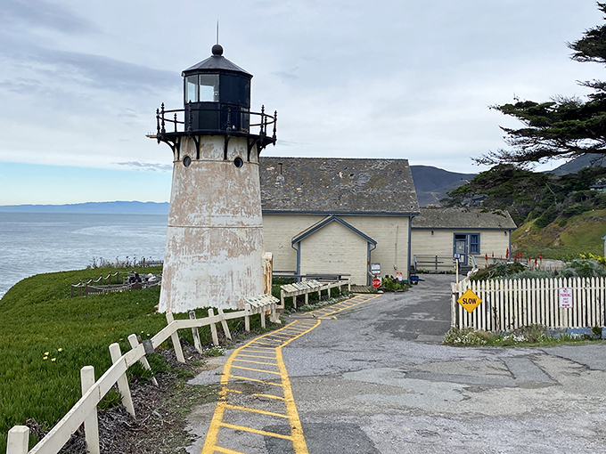 The California coast doesn't get more postcard-perfect than this. A lighthouse standing sentinel over crashing waves with a white picket fence that screams "Norman Rockwell meets maritime history."