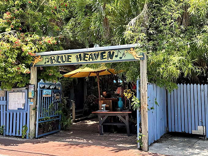 The entrance to Blue Heaven feels like stepping into a tropical fairytale, complete with weathered blue fence, lush foliage, and that signature Key West charm.
