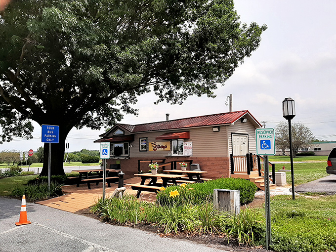 The unassuming exterior of Mr. Sticky's belies the sweet treasures within. Like finding a secret doorway to dessert paradise in Lancaster. 