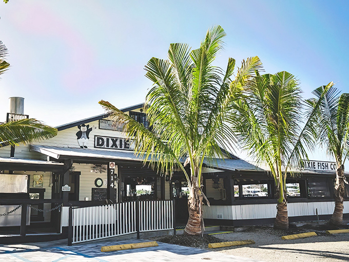 Old Florida charm meets seafood paradise. Palm trees stand guard outside Dixie Fish Company, where the "Wholesale & Retail" sign hints at seriously fresh catches.