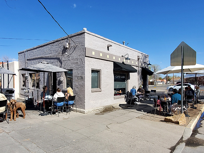 The unassuming corner building that houses Cafe Lush might not stop traffic, but locals know this modest exterior hides breakfast treasures worth setting alarms for.
