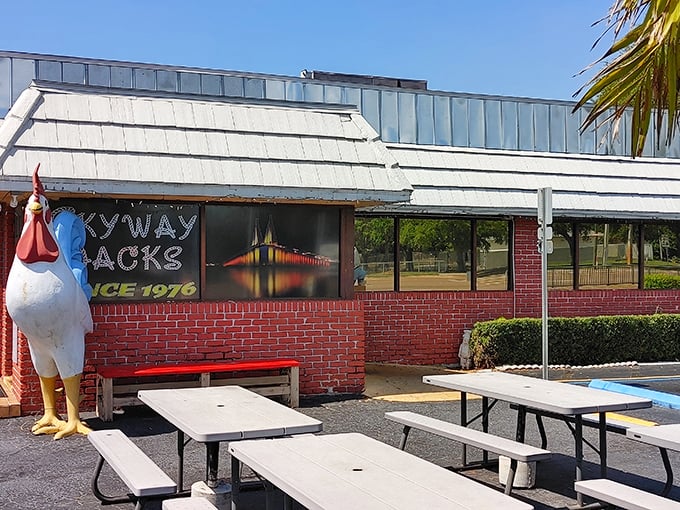 The iconic red brick exterior of Skyway Jack's, complete with its mascot chicken standing guard. Florida breakfast doesn't get more authentic than this.