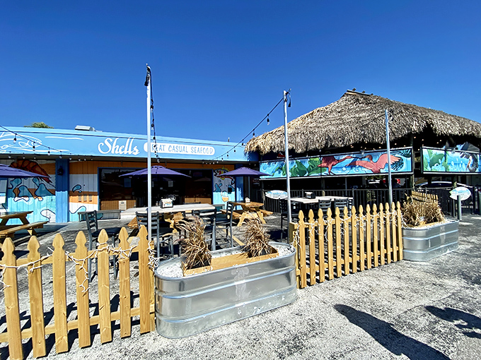 The unassuming blue exterior of Shells Seafood hides culinary treasures within. Like finding a pearl in an oyster, the modest fa&ccedil;ade belies the seafood magic happening inside.