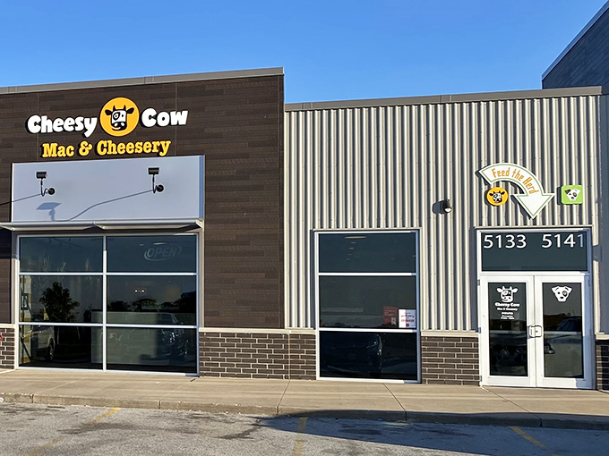 The unassuming storefront of Cheesy Cow sits like a dairy-filled oasis in a Bettendorf strip mall, promising comfort food nirvana to cheese pilgrims.