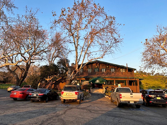 The Sycamore Inn stands proudly among its namesake trees, a rustic wooden sentinel that's witnessed California history unfold while keeping its grills perfectly hot.