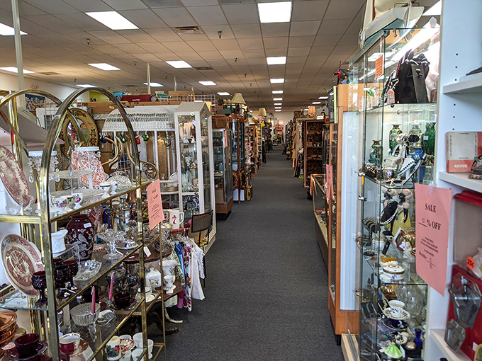 Treasure hunters, prepare yourselves! Aisles of possibility stretch before you like the yellow brick road, except this one leads to vintage treasures instead of wizards. 
