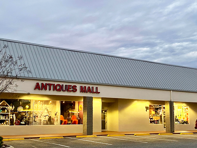 Treasure hunters, prepare yourselves! Aisles of possibility stretch before you like the yellow brick road, except this one leads to vintage treasures instead of wizards. 