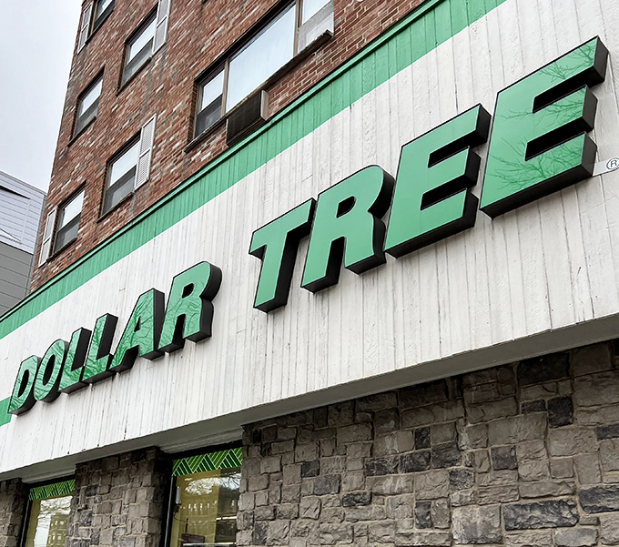 The iconic green and white signage of Dollar Tree on Commonwealth Avenue stands as a beacon of budget-friendly shopping in Boston's bustling urban landscape.
