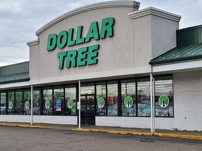 The emerald beacon of bargain hunters everywhere! Dollar Tree's iconic storefront promises treasure hunting without the need for a metal detector or pirate map.