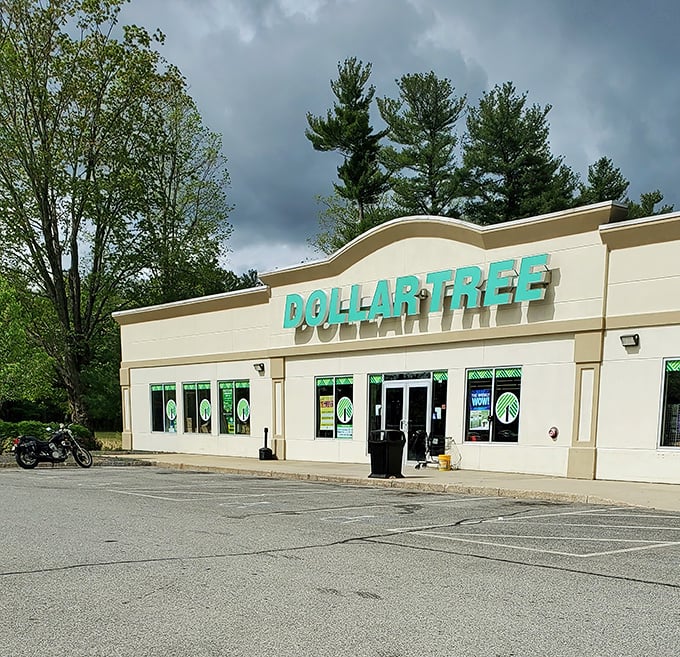 The iconic green glow of Dollar Tree's sign beckons bargain hunters like a budget-friendly lighthouse on the shores of Somersworth.
