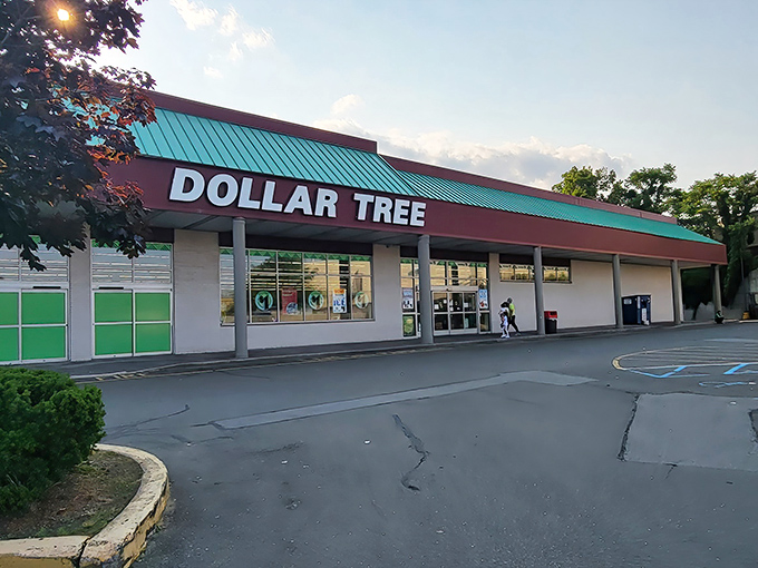 The iconic red and teal facade of Dollar Tree in Fairview stands as a monument to affordability in an increasingly expensive world.