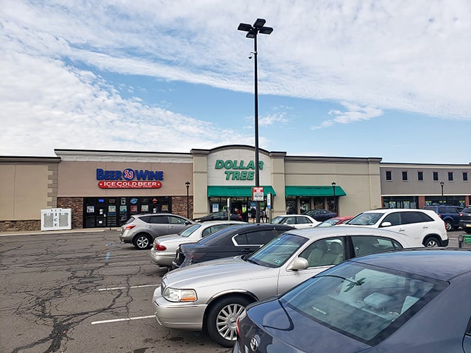The green awnings of Dollar Tree beckon like a bargain oasis in Wilkes-Barre Township's retail landscape, promising treasure hunts that won't break the bank.