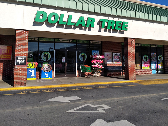 The green lettering beckons like a beacon of bargain hope. This unassuming storefront in Pigeon Forge hides treasures that would make extreme couponers weep with joy.