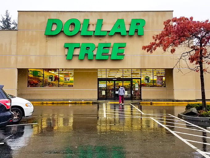 The iconic green signage of Dollar Tree beckons like a budget-friendly lighthouse on a rainy Seattle day. Bargain hunters, your port awaits!