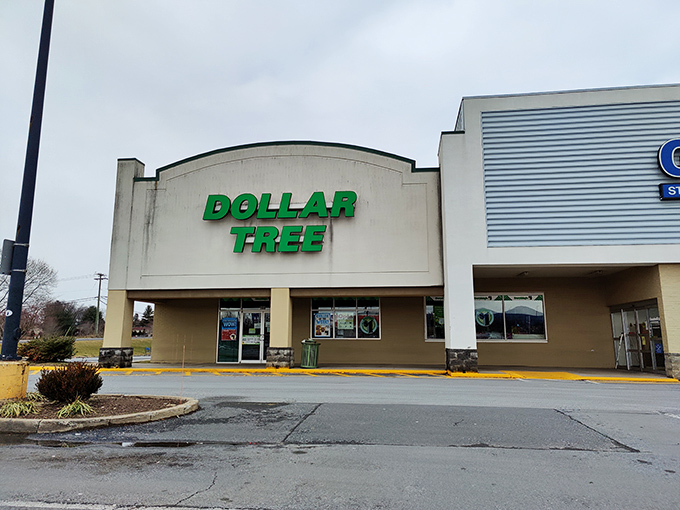 The iconic green Dollar Tree sign beckons like a beacon of bargain hope. This Charles Town treasure trove promises adventures in thrift without breaking the bank.