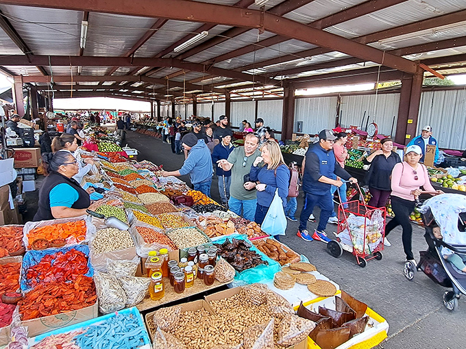 The weekend treasure hunt begins! Shoppers navigate the bustling aisles of El Rematito, where one person's castoffs become another's prized discoveries.