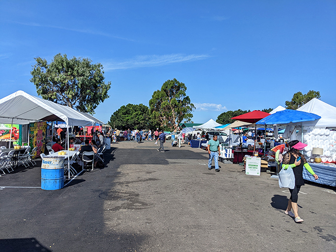 A kaleidoscope of canopies stretches into the horizon, each tent a portal to someone's passion, livelihood, or weekend side hustle.