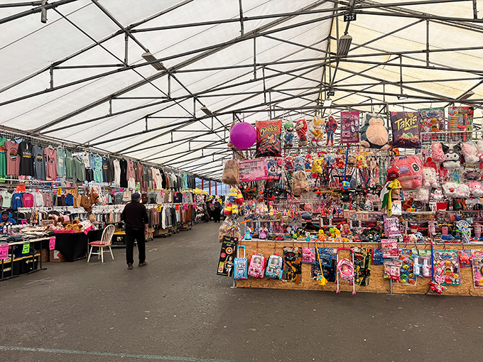 Under this vast canopy, a treasure hunter's paradise unfolds with colorful toys and clothing waiting to find new homes.
