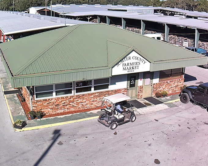 The green-roofed headquarters of treasure hunting adventures. Webster's Farmers Market stands like a humble castle where bargain royalty reigns every Monday.