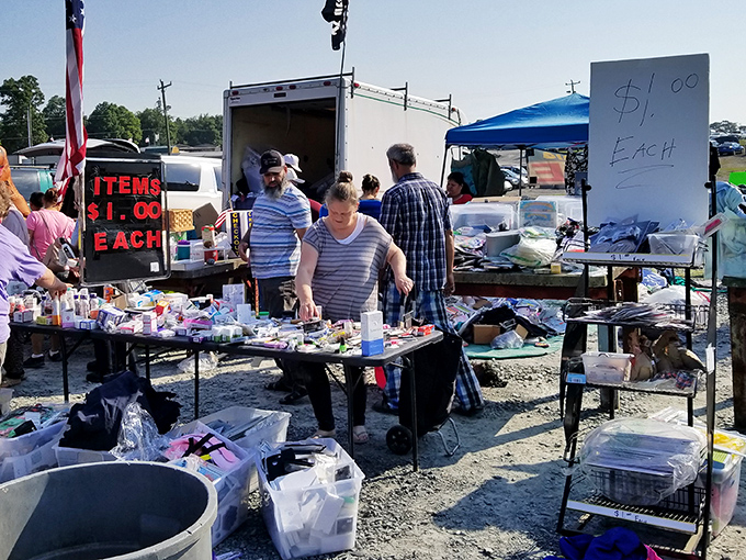 Browse through unique treasures at 311 Flea Market, where you can find incredible dollar deals and hidden gems every weekend.