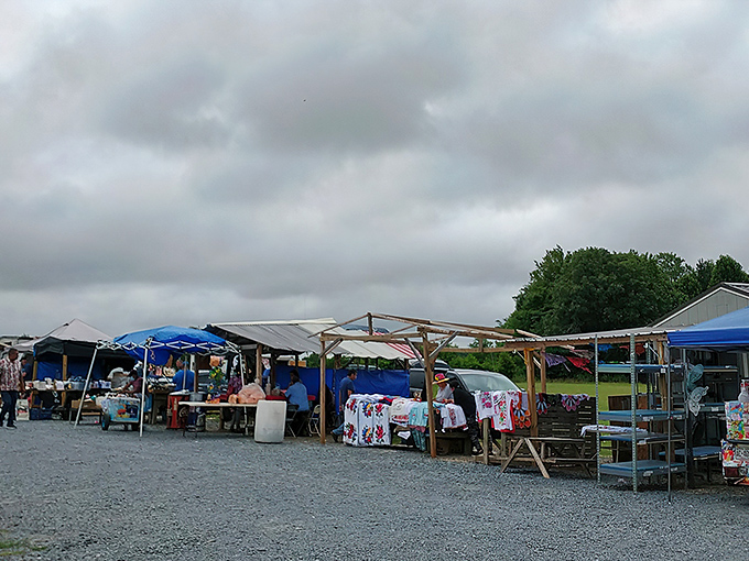 The treasure hunt begins! Colorful canopies and makeshift stalls stretch across the gravel lot, each one a portal to unexpected discoveries.