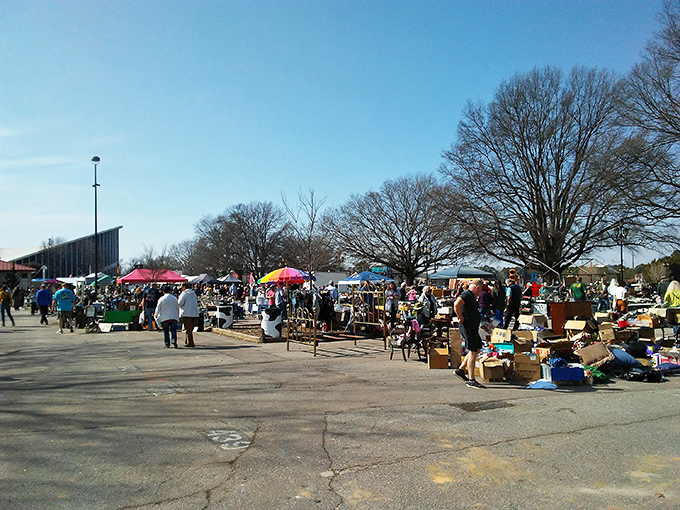 The treasure hunter's paradise unfolds under Carolina blue skies, where colorful canopies mark spots where ordinary objects transform into extraordinary finds.