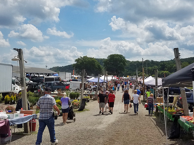 The grand avenue of possibilities! Shoppers meander through the outdoor section of Rogers Flea Market, where treasures await under white canopies and Ohio's big sky.