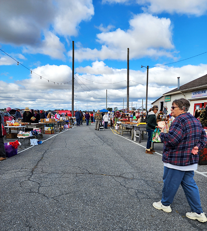 Treasure hunters navigate the sprawling aisles of Root's Old Mill Flea Market under Pennsylvania's big blue sky, where one person's castoffs become another's prized discoveries.