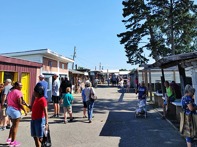 The main thoroughfare at Anderson Jockey Lot feels like a small town unto itself, where treasure hunters navigate the maze of possibilities under Carolina blue skies.