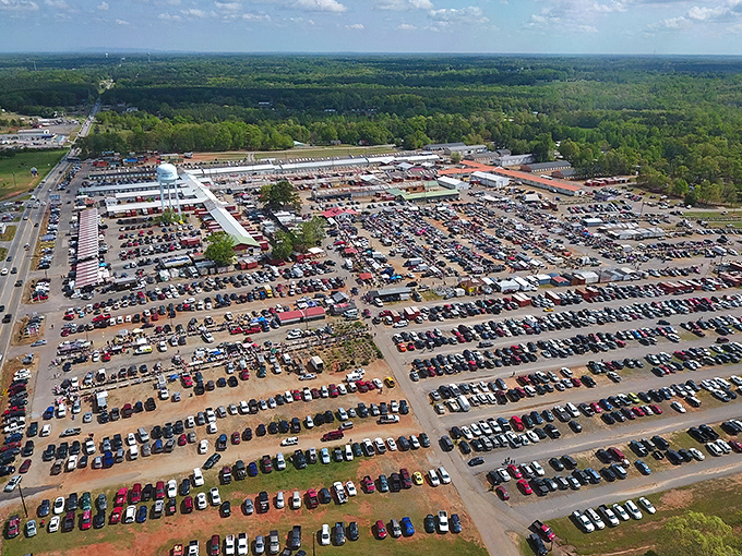 The main thoroughfare at Anderson Jockey Lot feels like a small town unto itself, where treasure hunters navigate the maze of possibilities under Carolina blue skies.